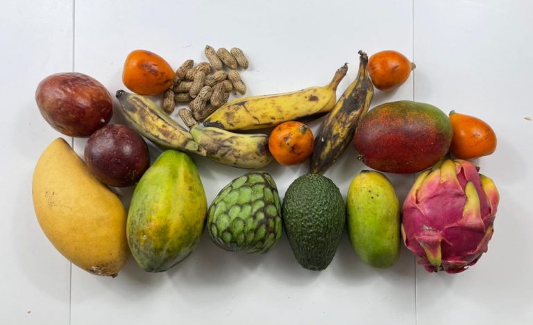 Obstbox von Jurassic Fruit | ️ Review + Video